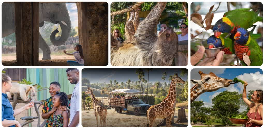 Fun and Eco-Friendly Activities for Earth Day 2026